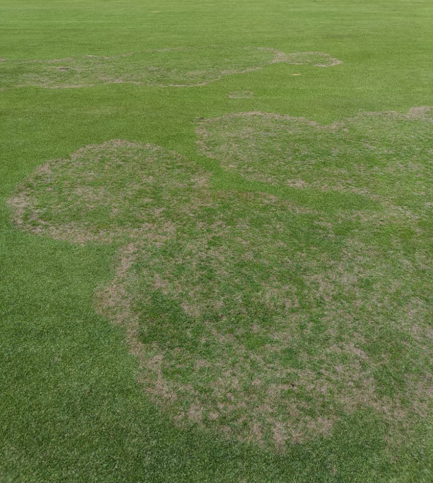 What is Large Patch? - Article