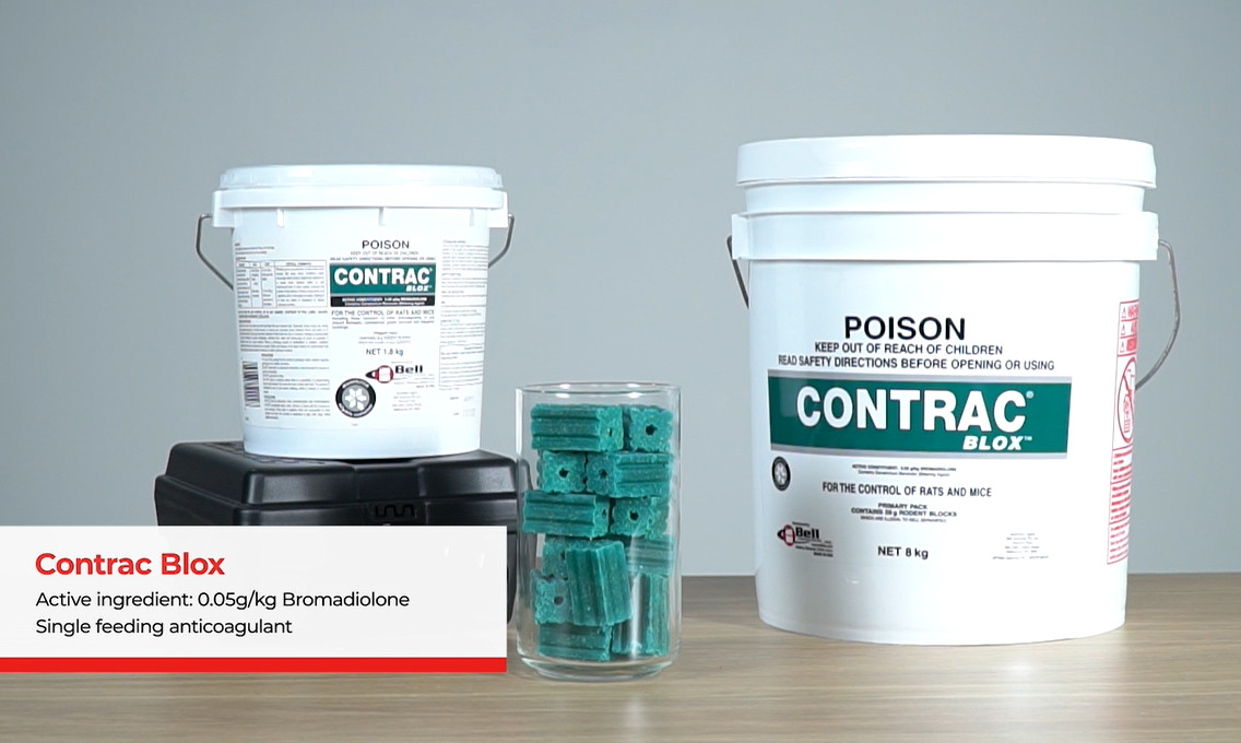 How to Choose the Right Rodent Bait | Globe Pest Solutions - Article