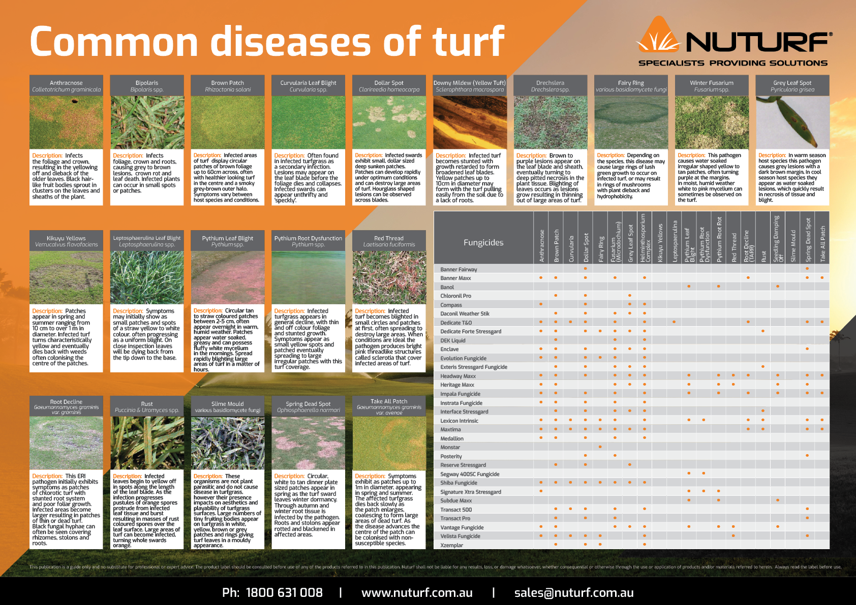 Downloadable Chart: Nuturf Rain Chart 2026 - Article