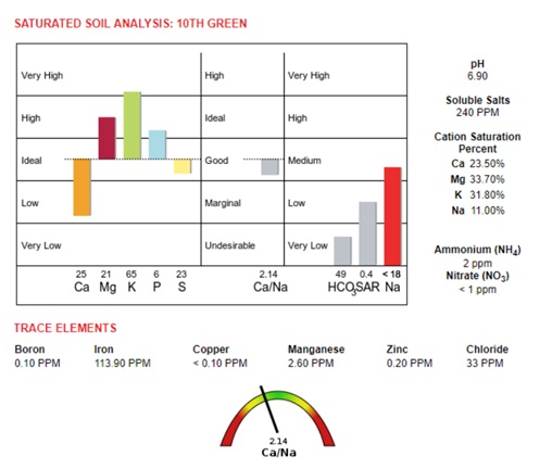 OVERSOW WITH BARENBRUG TURF SEEDS - Article